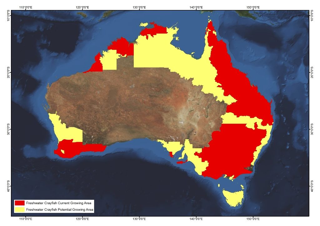 Freshwater crayfish (Redclaw) | AgriFutures Australia