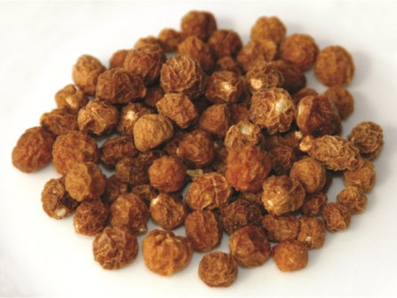 Bush Tomato | AgriFutures Australia