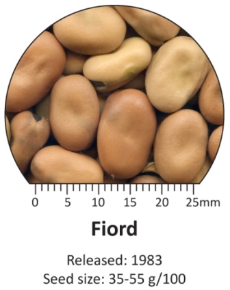 Faba bean | AgriFutures Australia