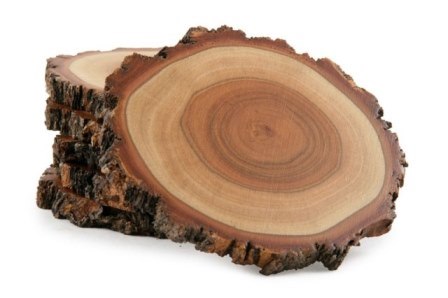 Red Ironbark | AgriFutures Australia