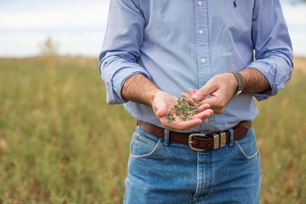 Catalysing a $10m Australian Insect Industry | AgriFutures Australia